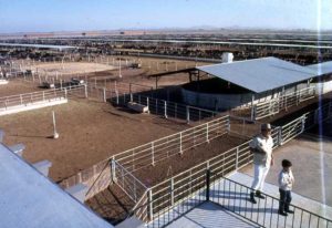 Wayne on the Range - John Wayne Enterprises